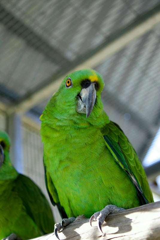 Redland Conservation Center