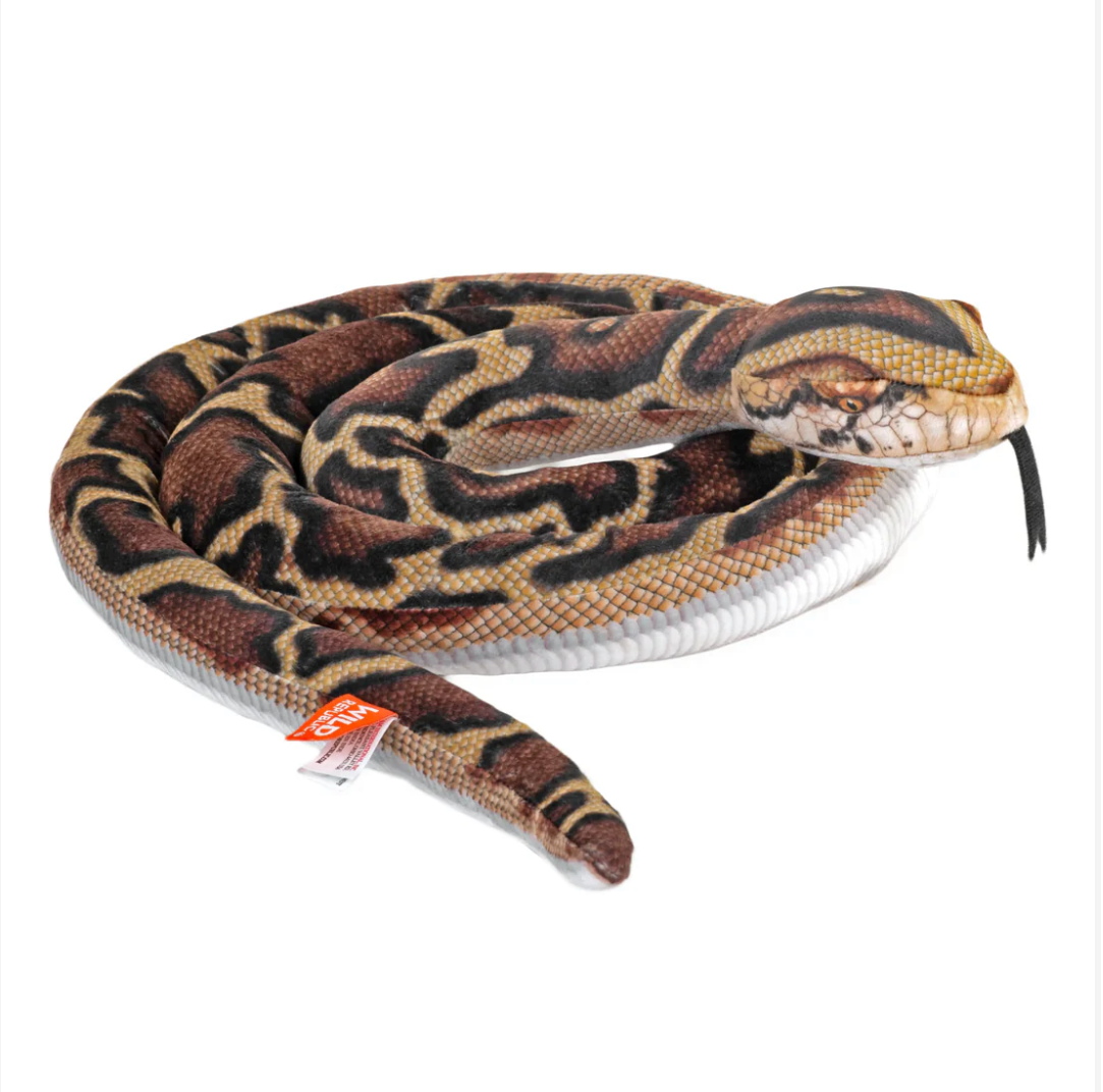 Burmese Python Plushie – Redland Conservation Center